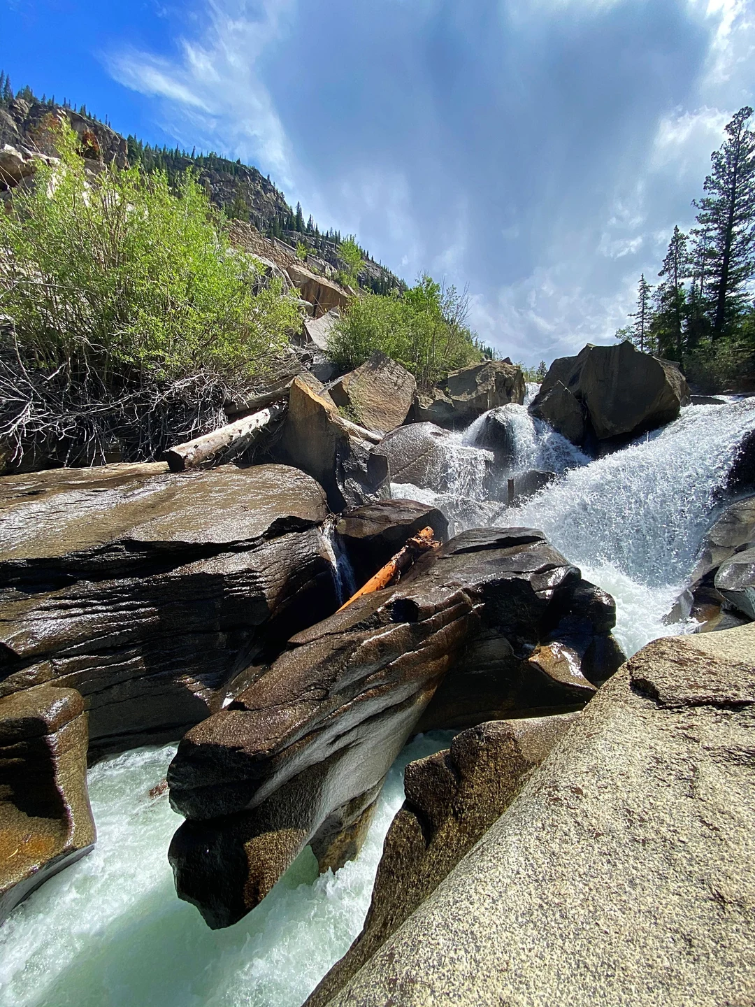 Roaring Fork River, Aspen CO [3024x4032, OC] | Scrolller