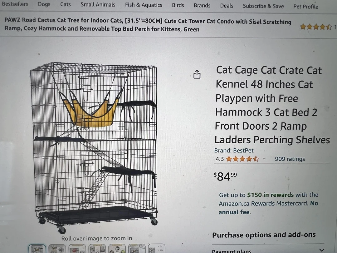 Ferret cage | Scrolller