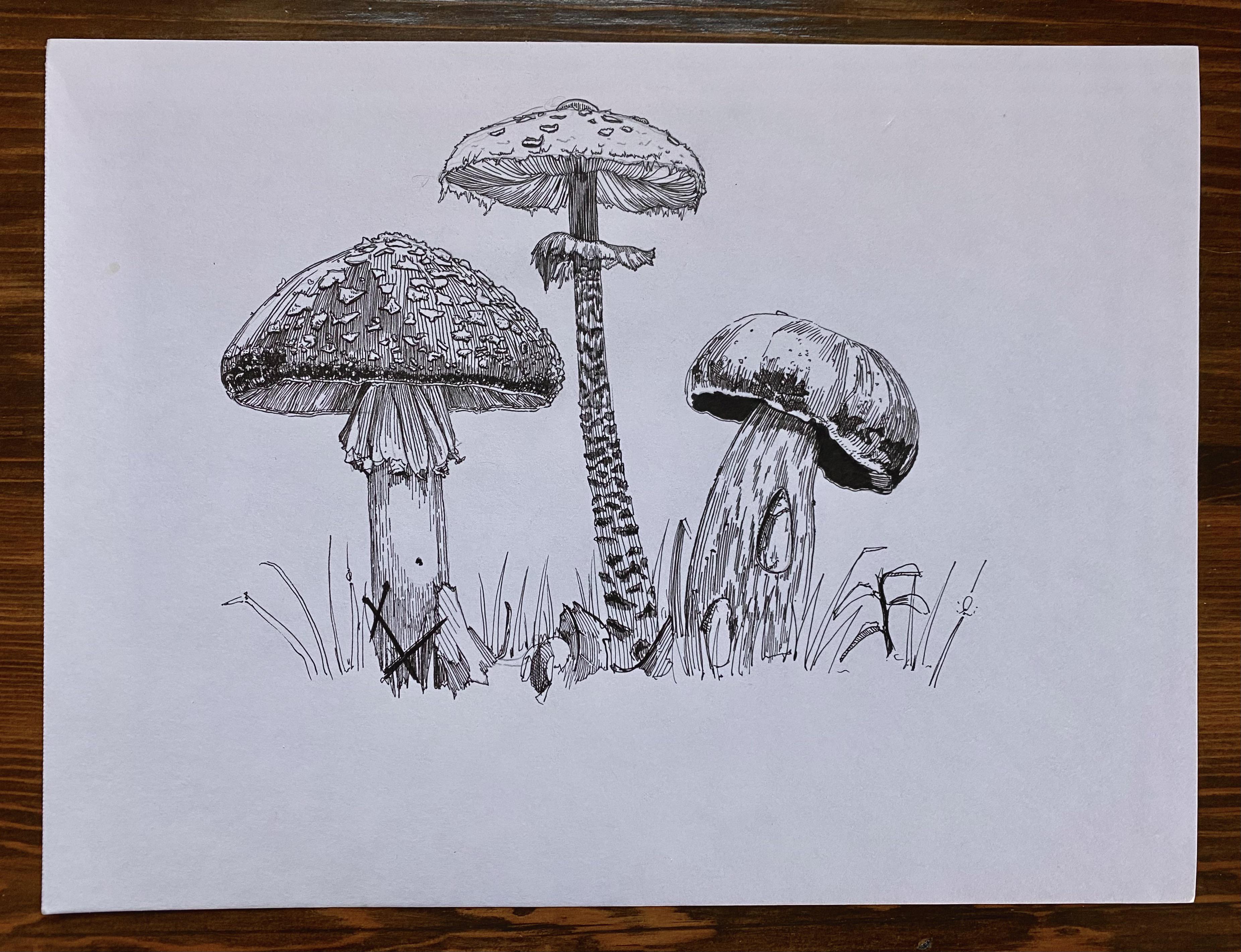 Shroomus, me, Micron on paper, 2023 | Scrolller