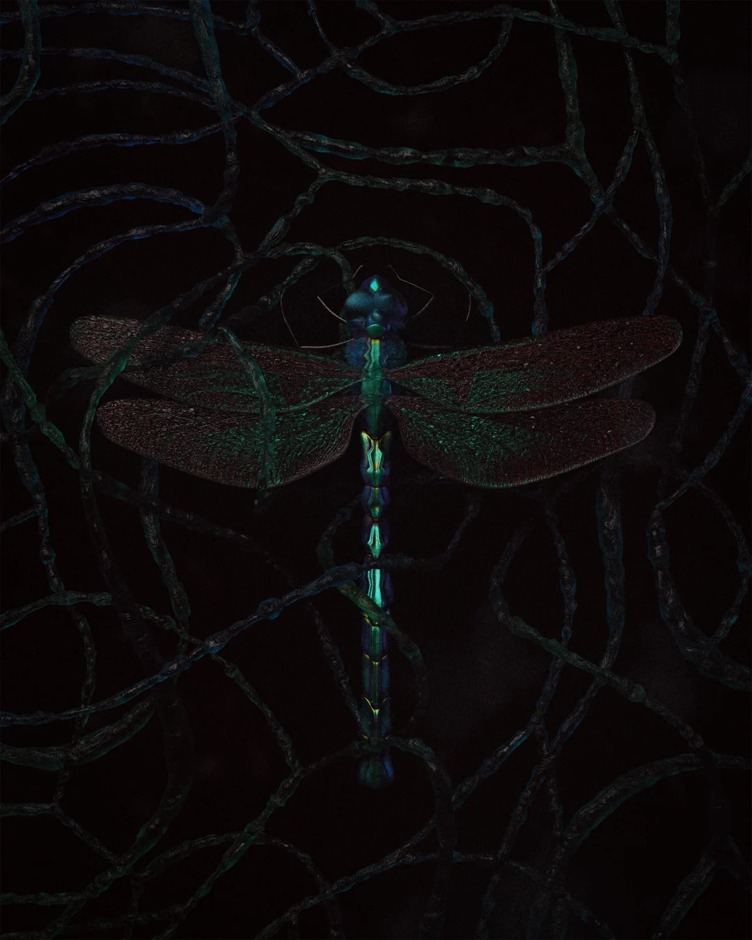 'Alteration' | Scrolller