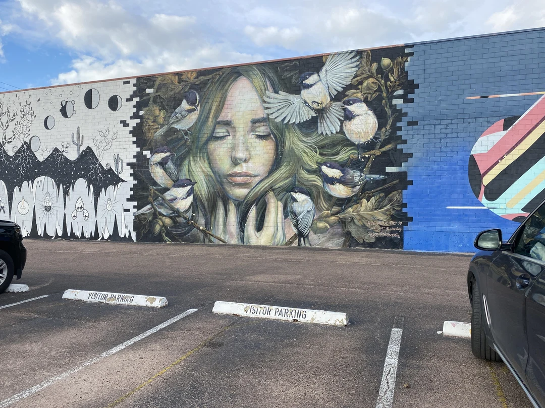 Houston, TX | Scrolller