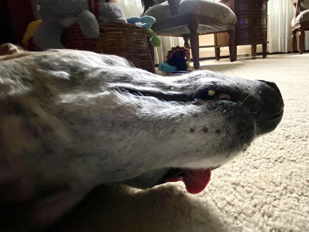 Underside of TOT | Scrolller