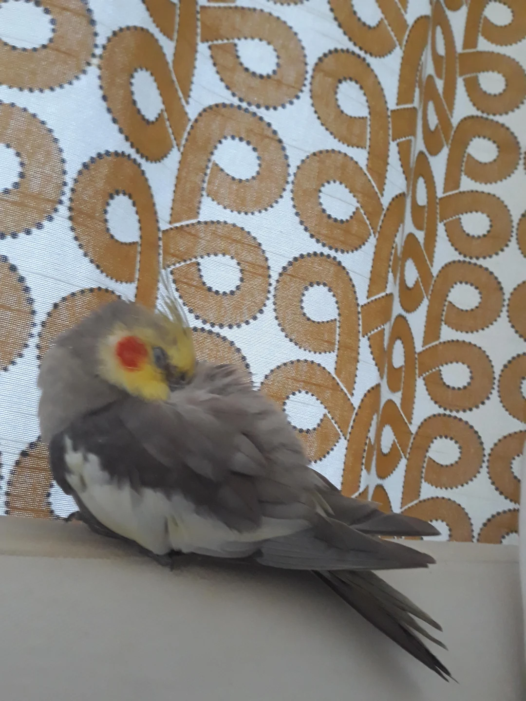 Nestled. | Scrolller