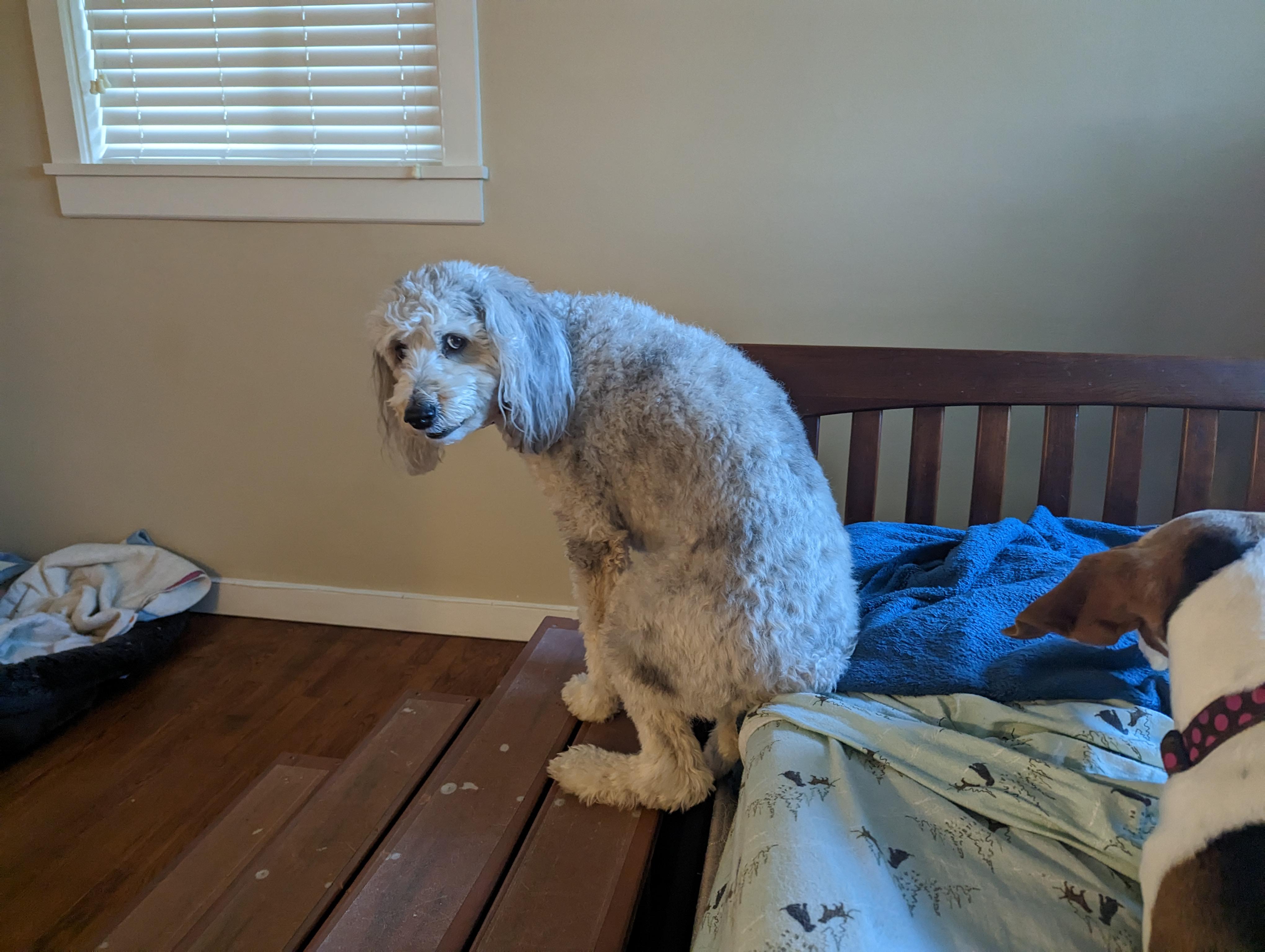 Wesley looks like he's up to something sketchy. | Scrolller