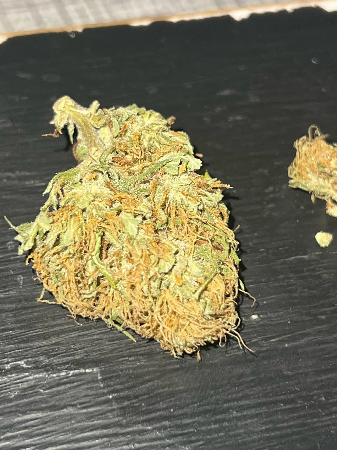 hairy bud? | Scrolller