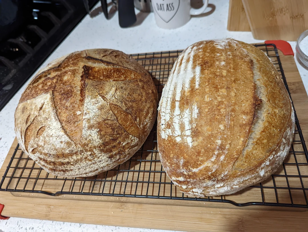 Realized I had the space and equipment to bake two loaves at once, here are the results | Scrolller