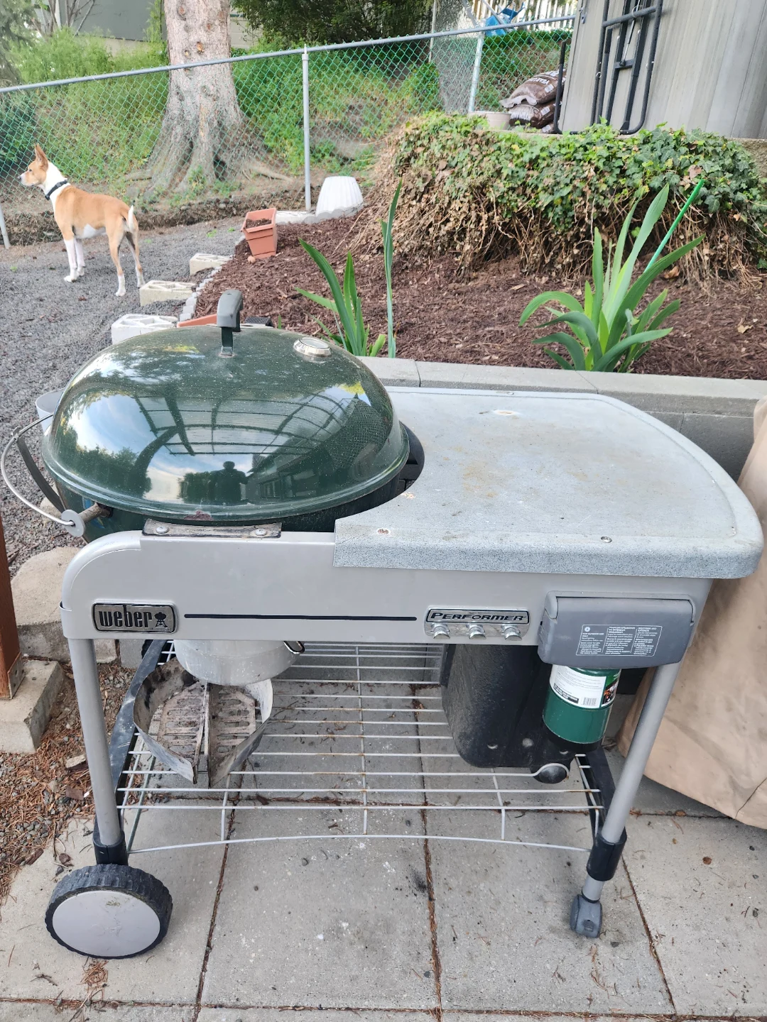 Curbside snag | Scrolller