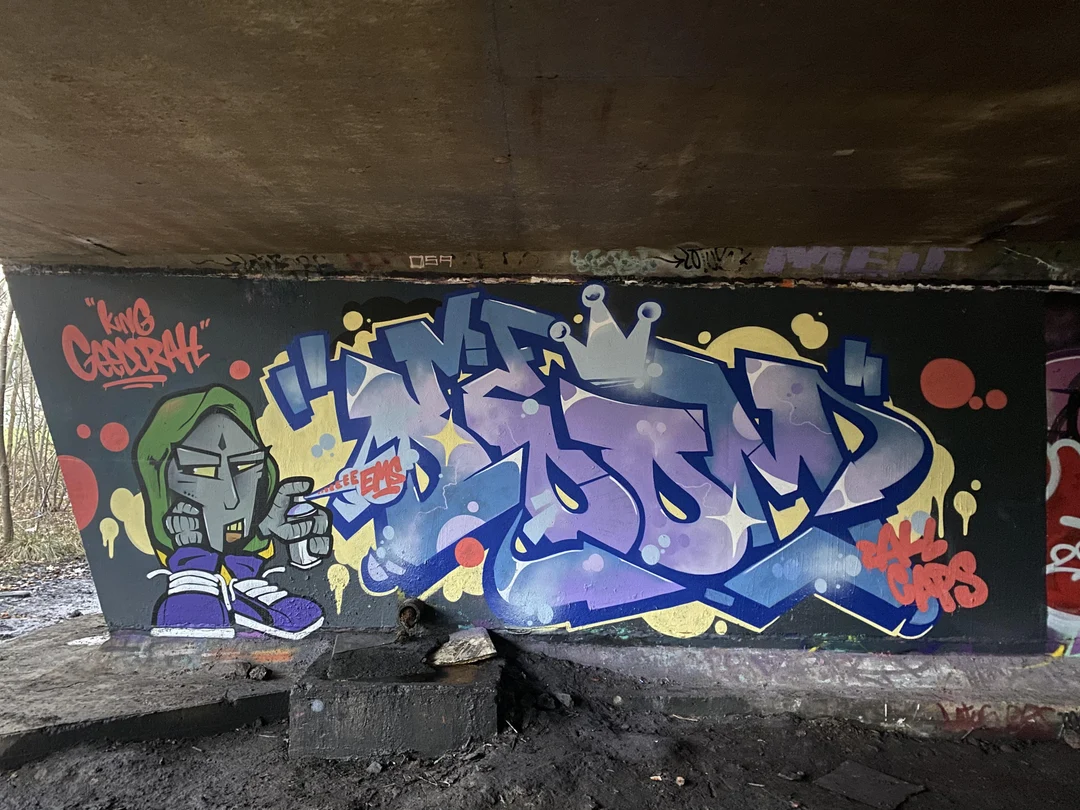 MF DOOM JARROW UK | Scrolller