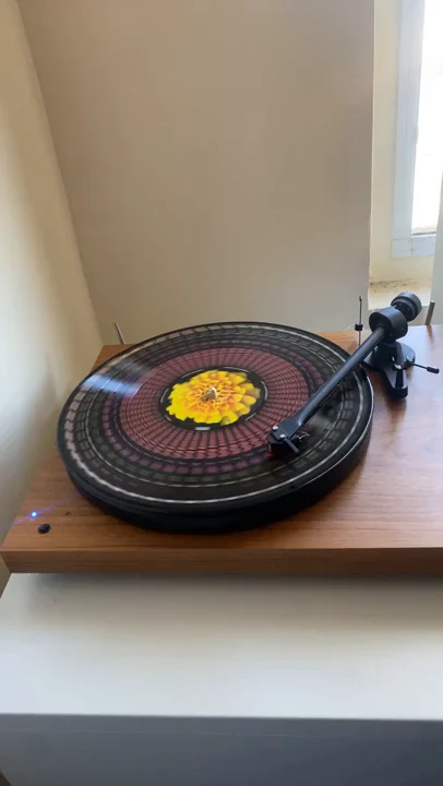 Coolest vinyl i have😌 | Scrolller