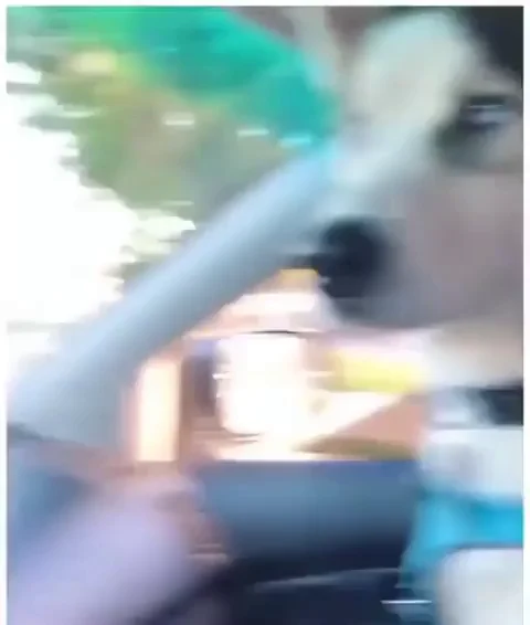 Friend spotted | Scrolller