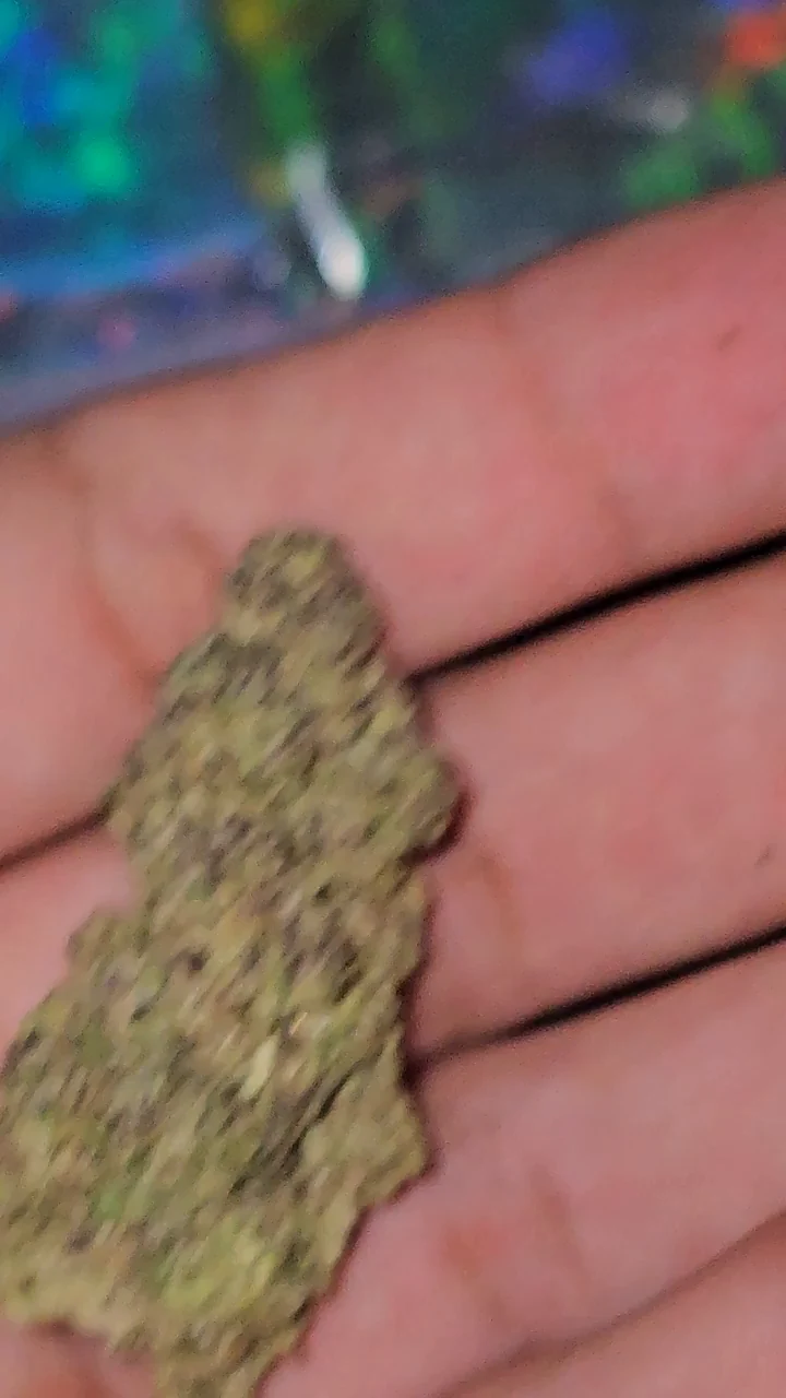 Project Gary | Scrolller