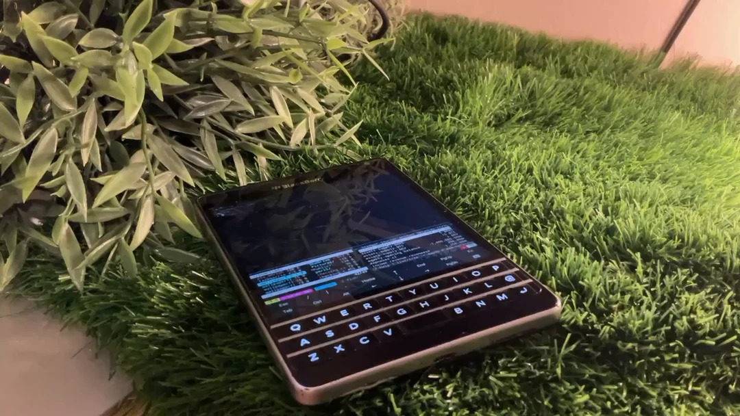 [Blackberry] These levels of pornography should not be allowed here. | Scrolller