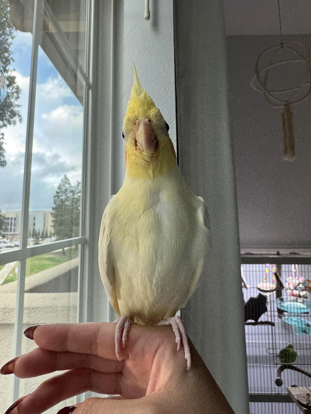 Eggie’s smile is back!! | Scrolller