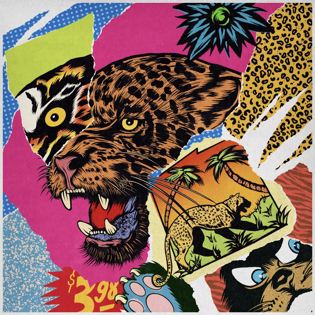 Cat Study | Scrolller