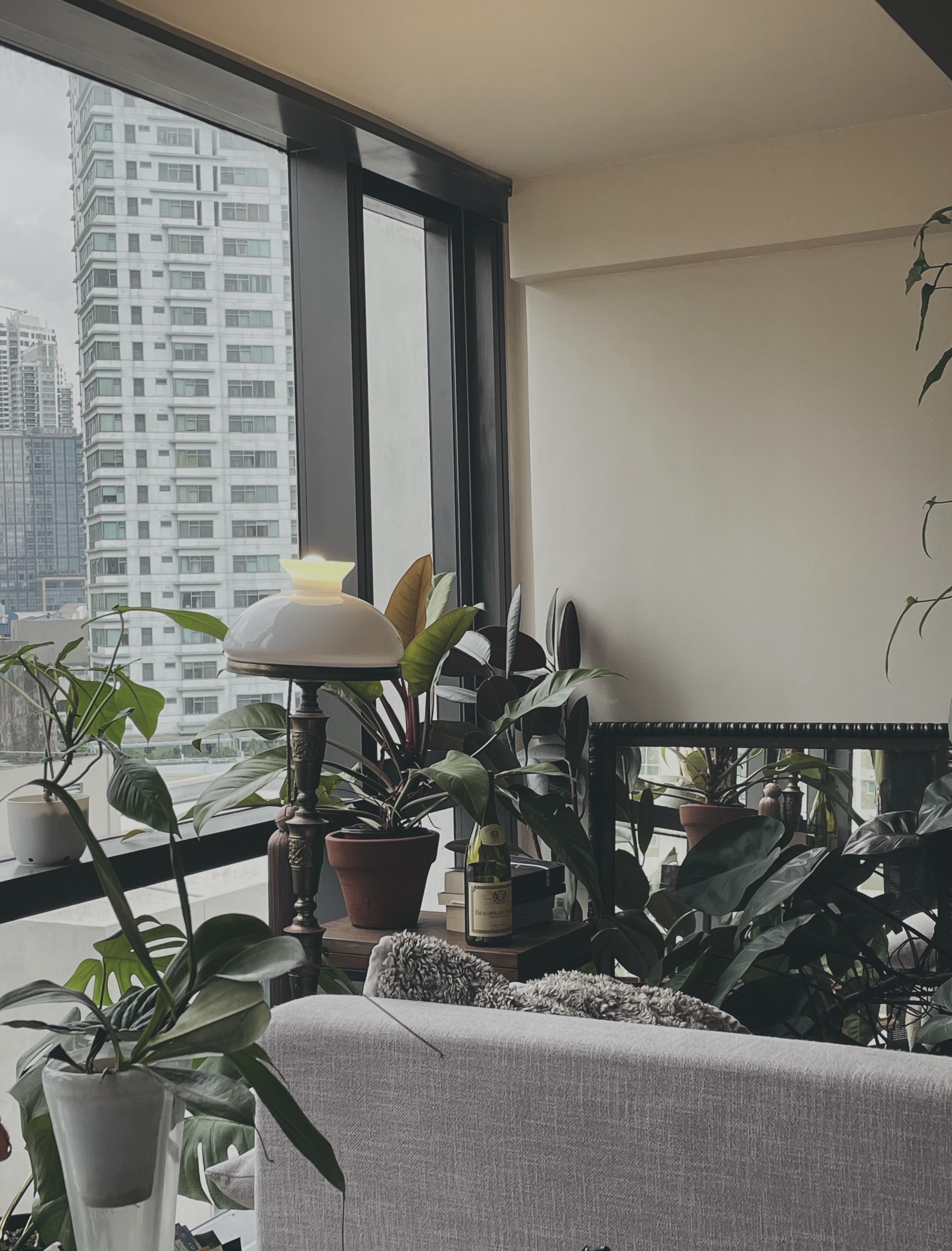 Indoor Jungle, Philippines | Scrolller