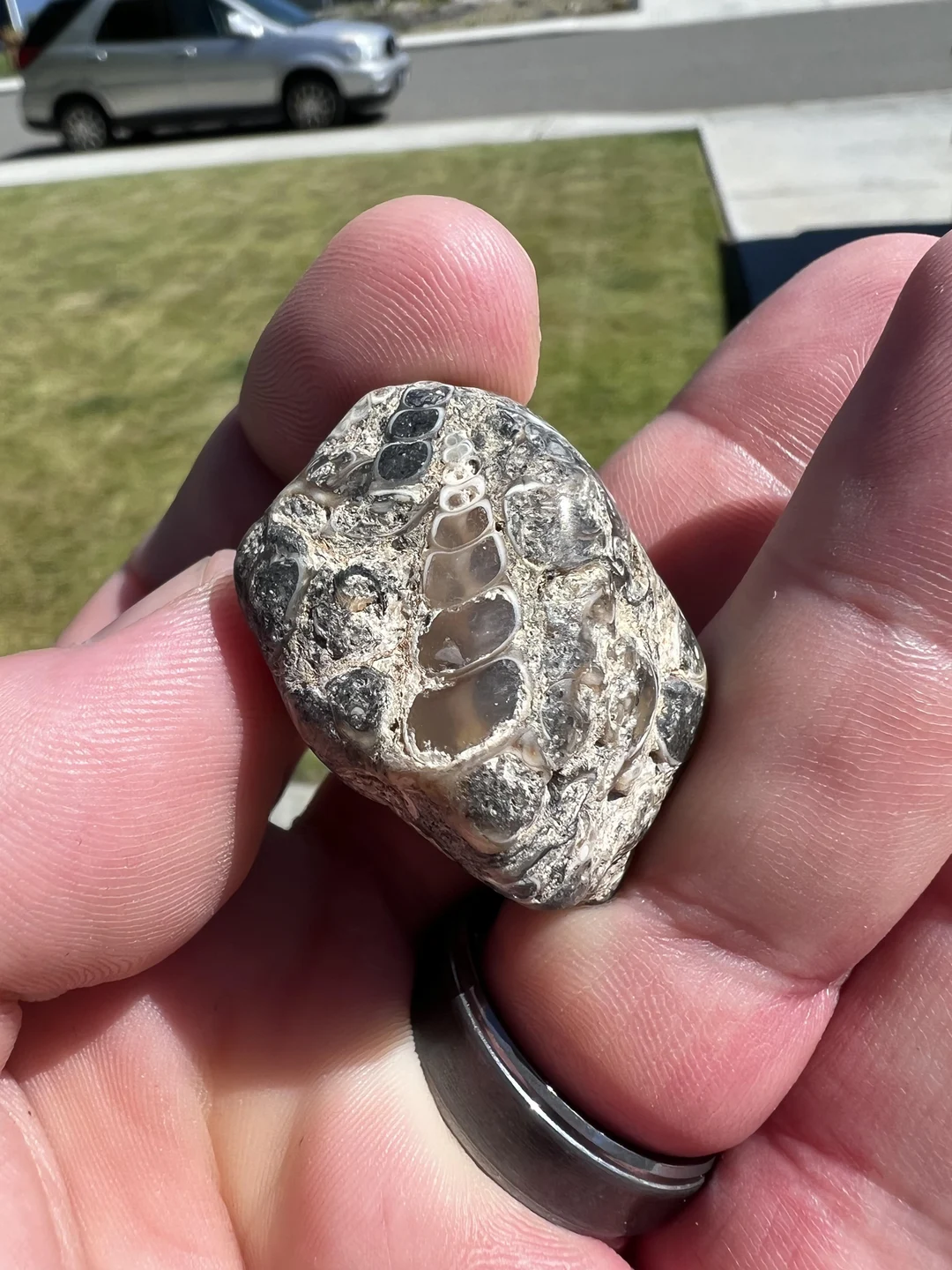 Check this Washington state find out! | Scrolller