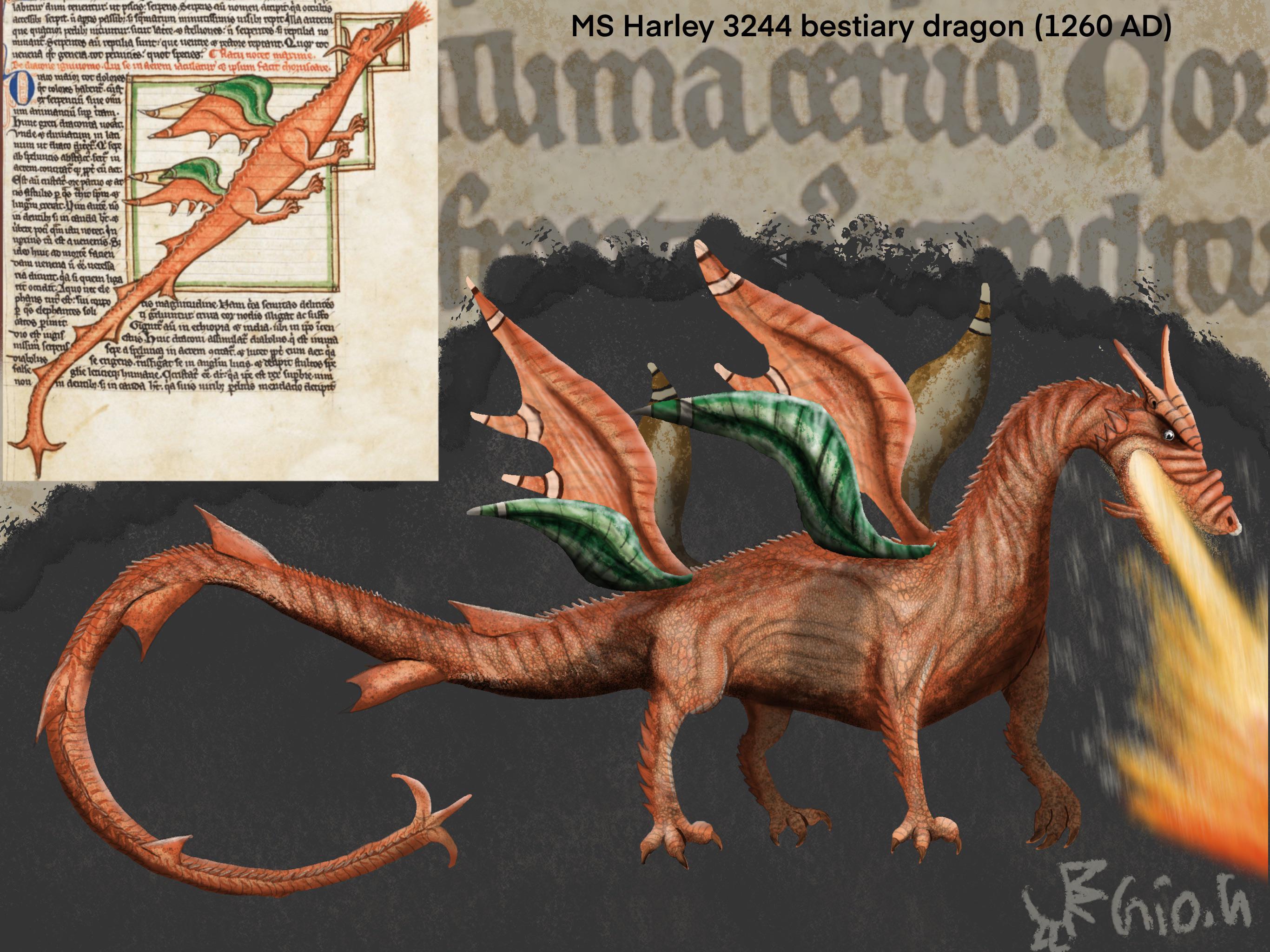 Drew a ‘realistic’ version of a medieval dragon | Scrolller