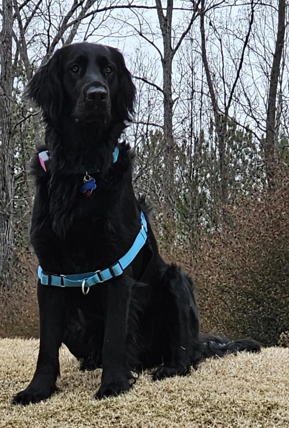 My Big Boy Buddy!!! | Scrolller