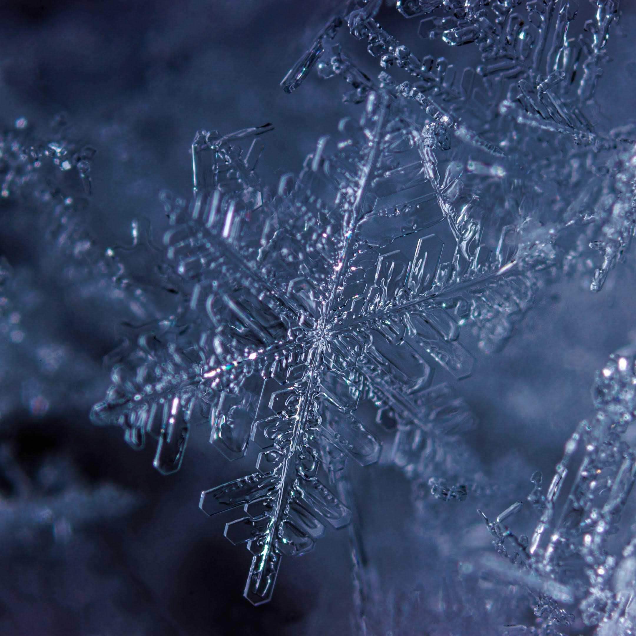 Closeup of snowflake | Scrolller