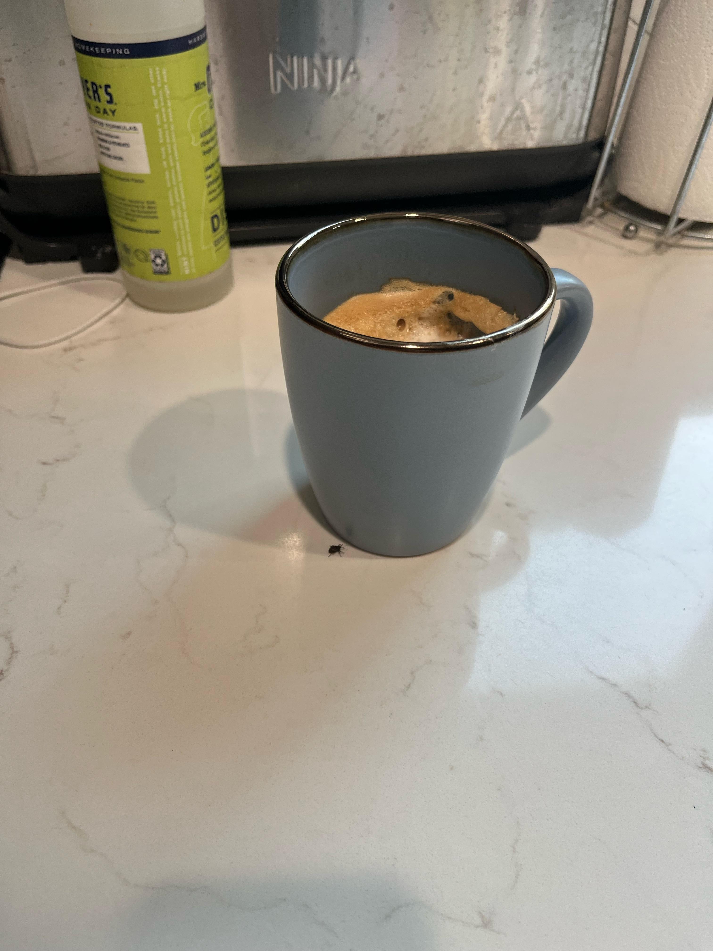 Tick or beetle? | Scrolller