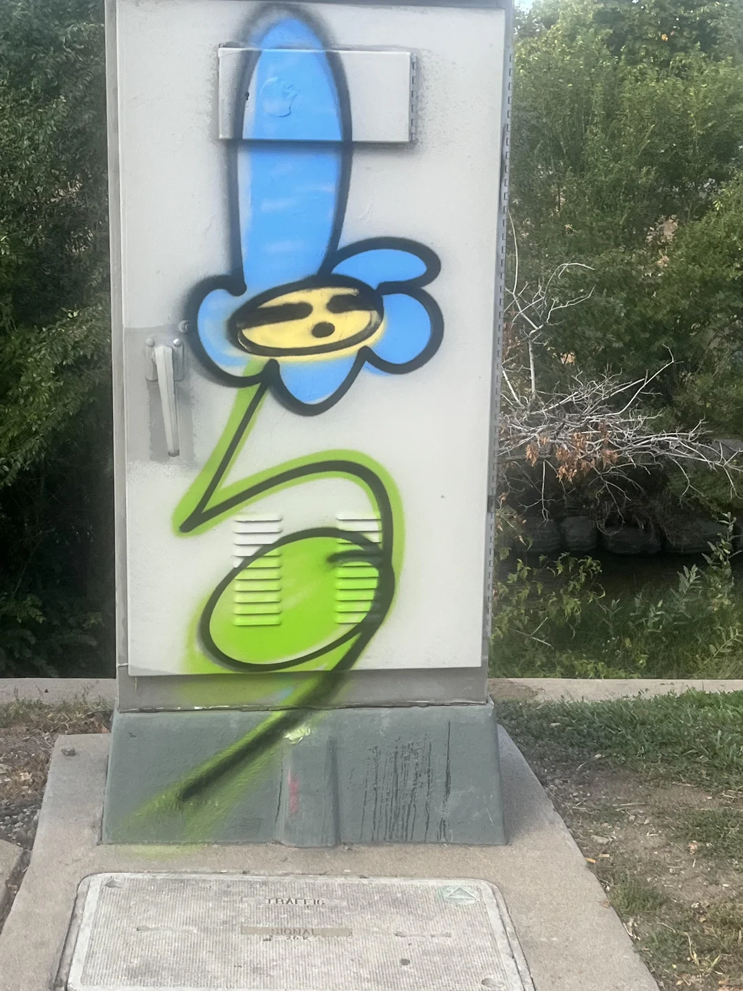 Denver daffodil | Scrolller