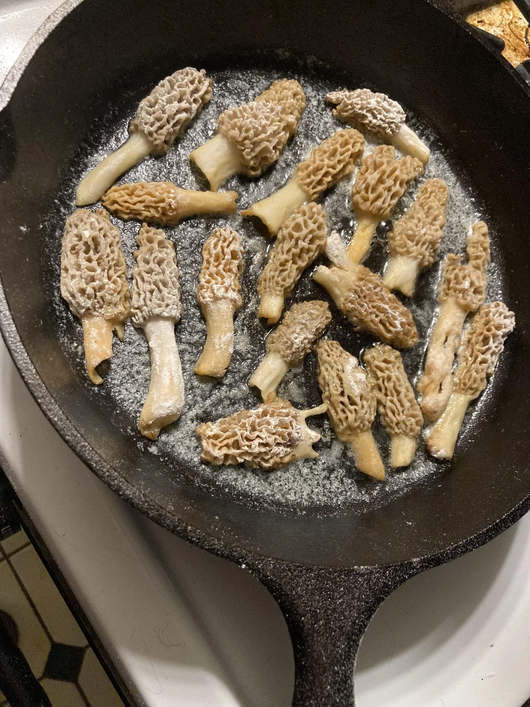 Enough eggs, post your shrooms | Scrolller