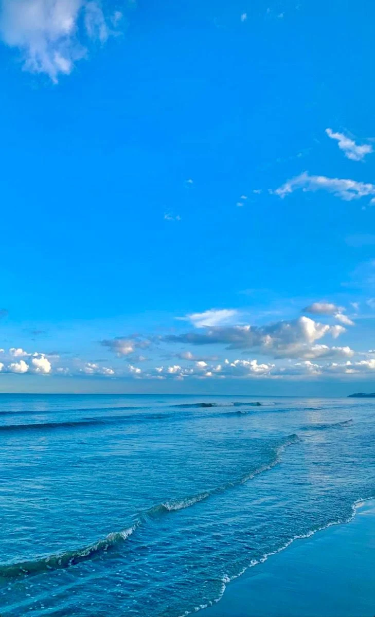 walks by the ocean | Scrolller