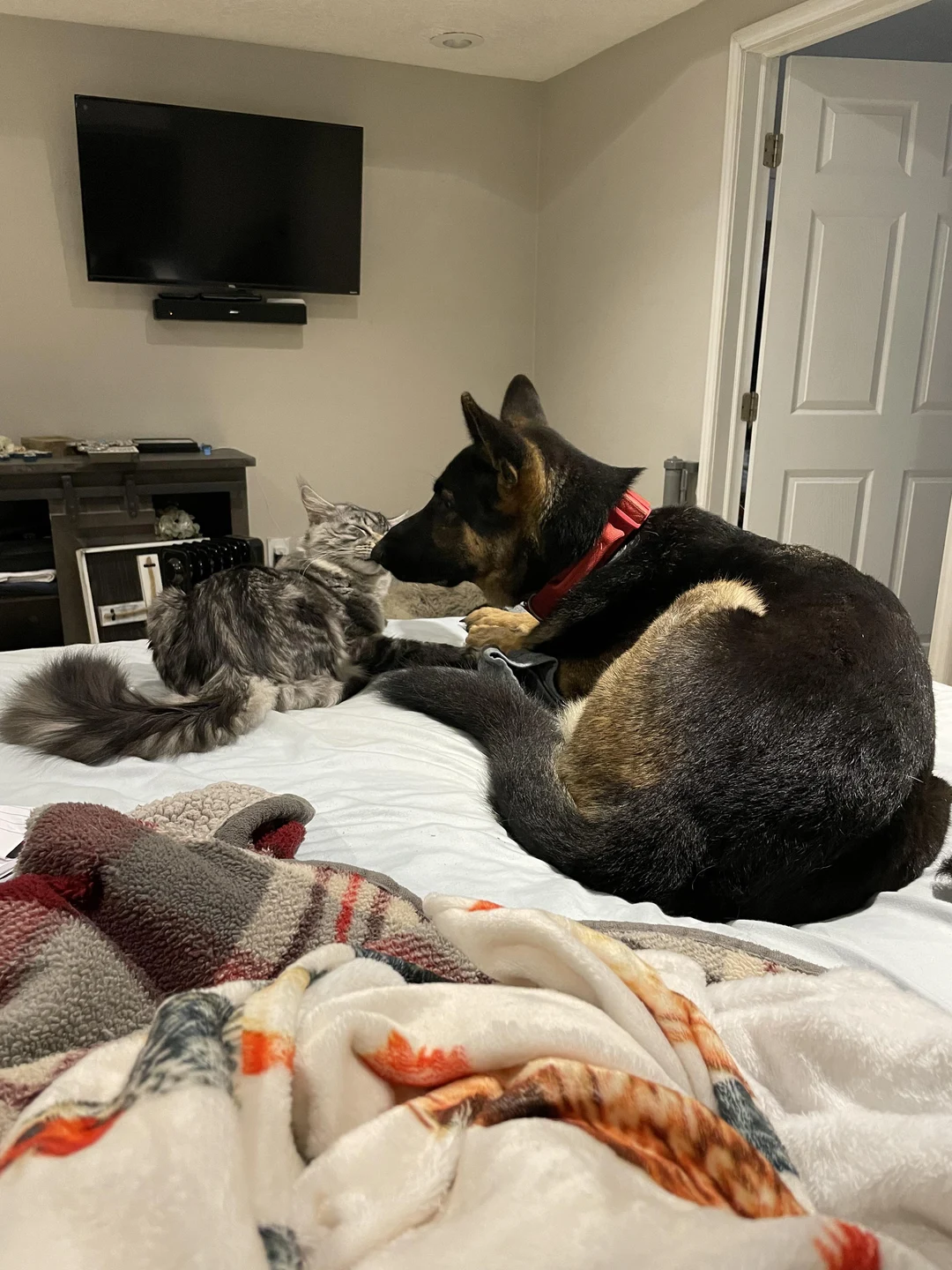 9 month old Dexter cuddling with his 4 year old brother Yote 🥰 | Scrolller