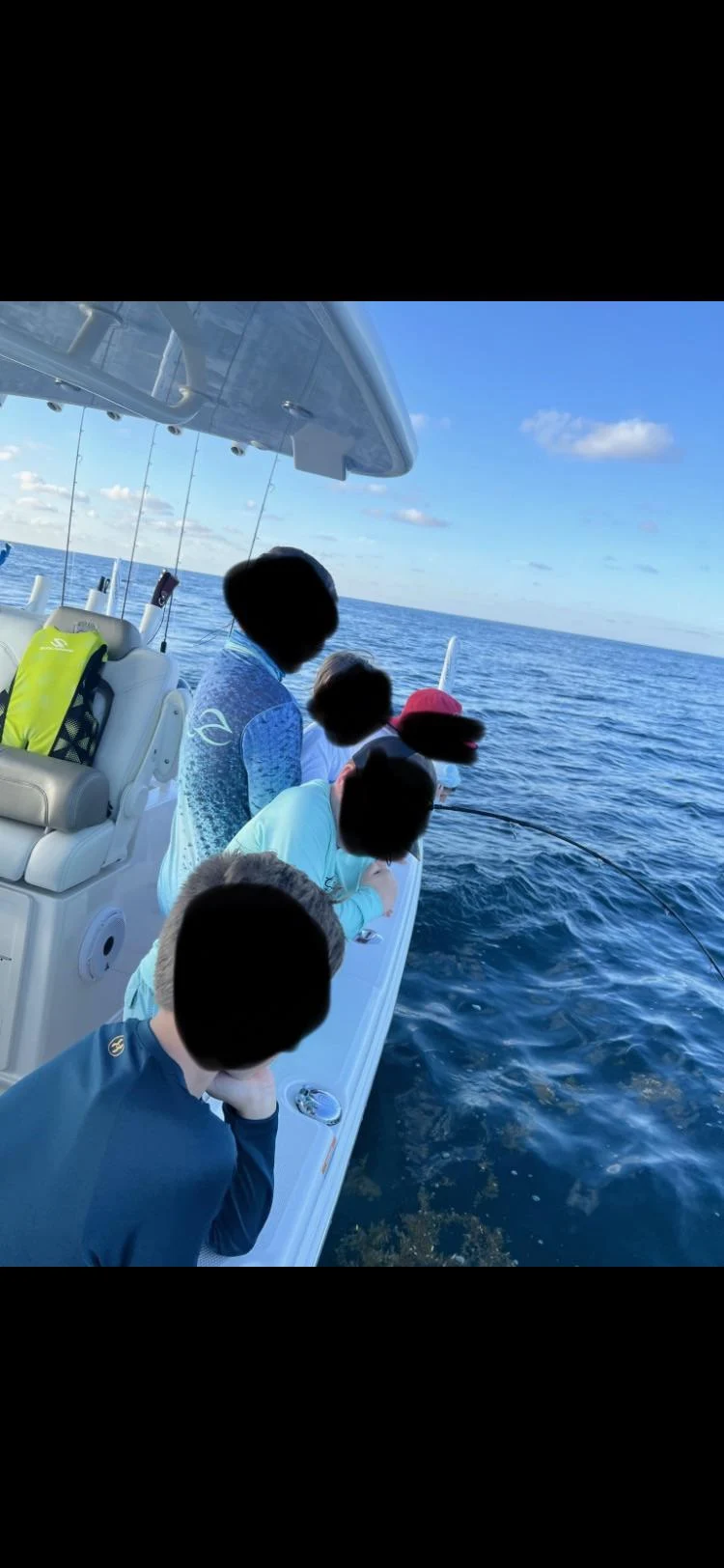 Mystery fish | Scrolller