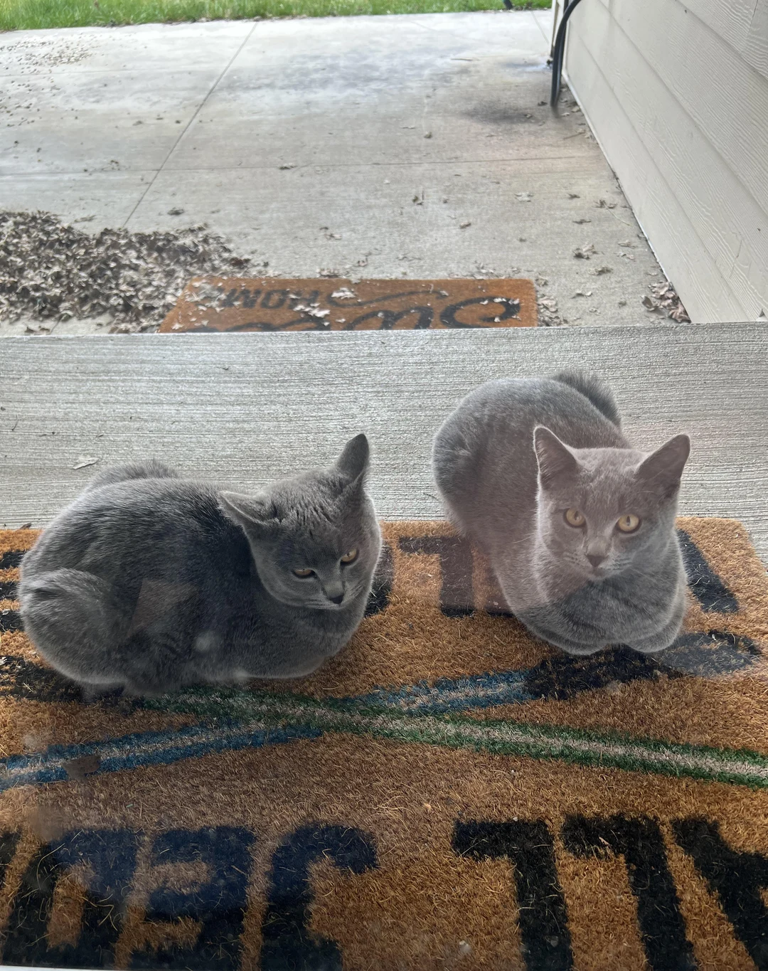 Two tiny matching loaves! | Scrolller