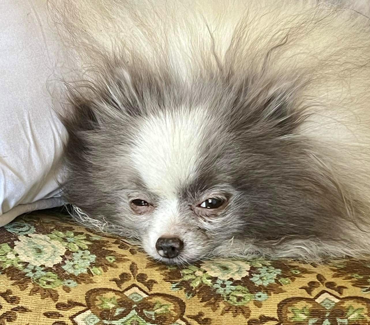 When the hangover hits. | Scrolller