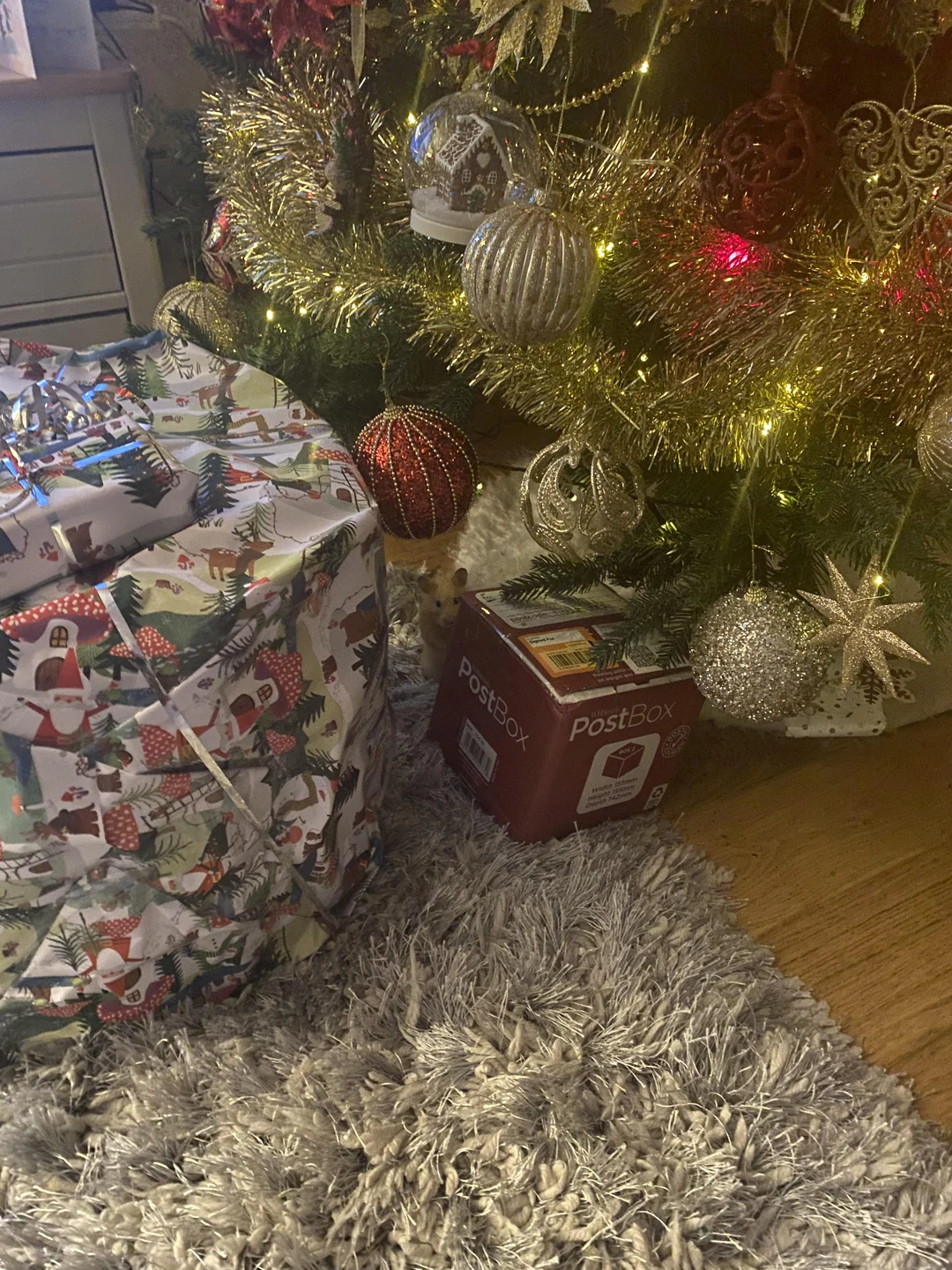 Belle wants to know if there’s anything for her under the tree… | Scrolller