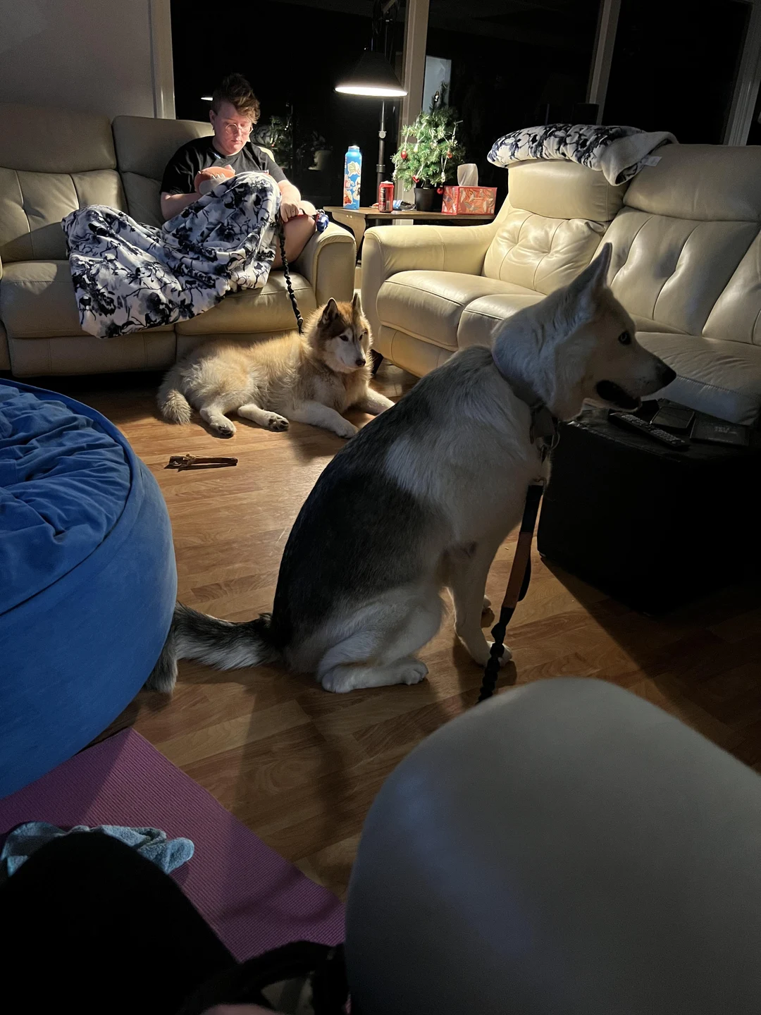 Zeus and Ellie Bonding in the pool | Scrolller