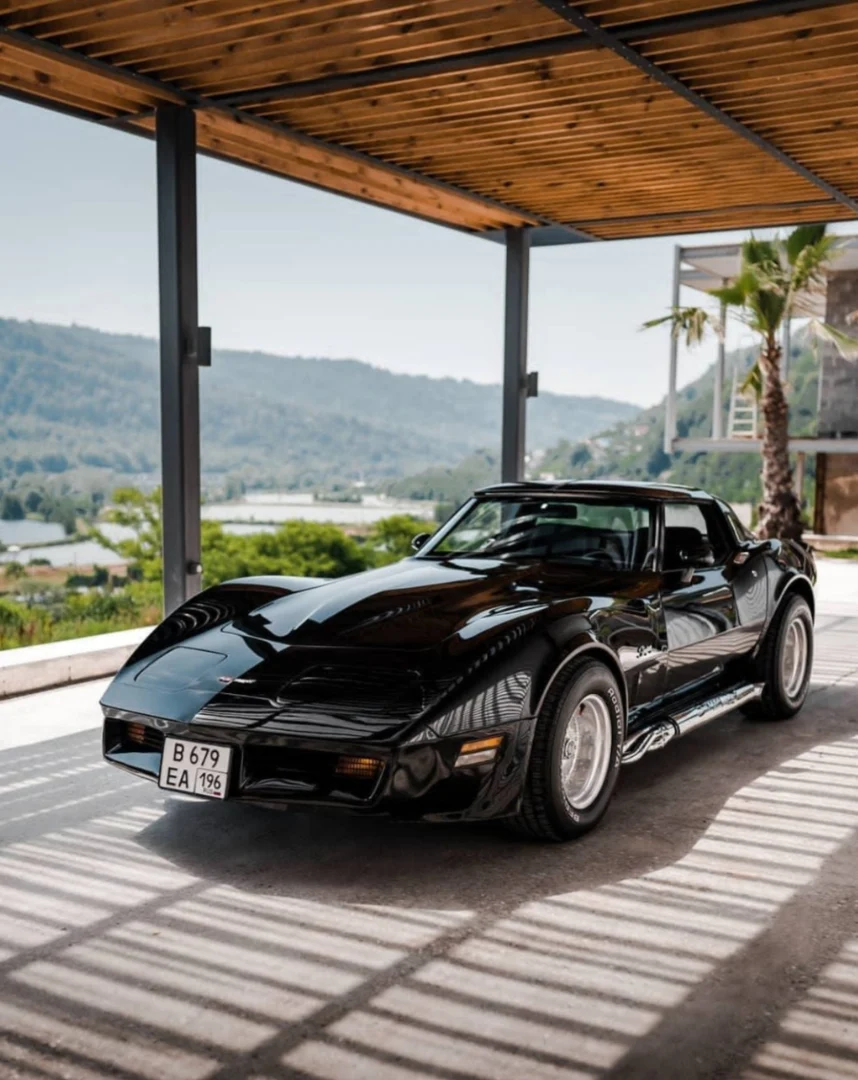 Corvette C3 [860 x 1080] | Scrolller