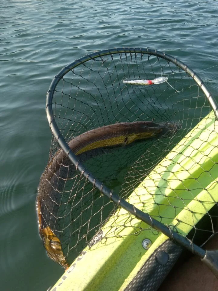 New personal record! | Scrolller