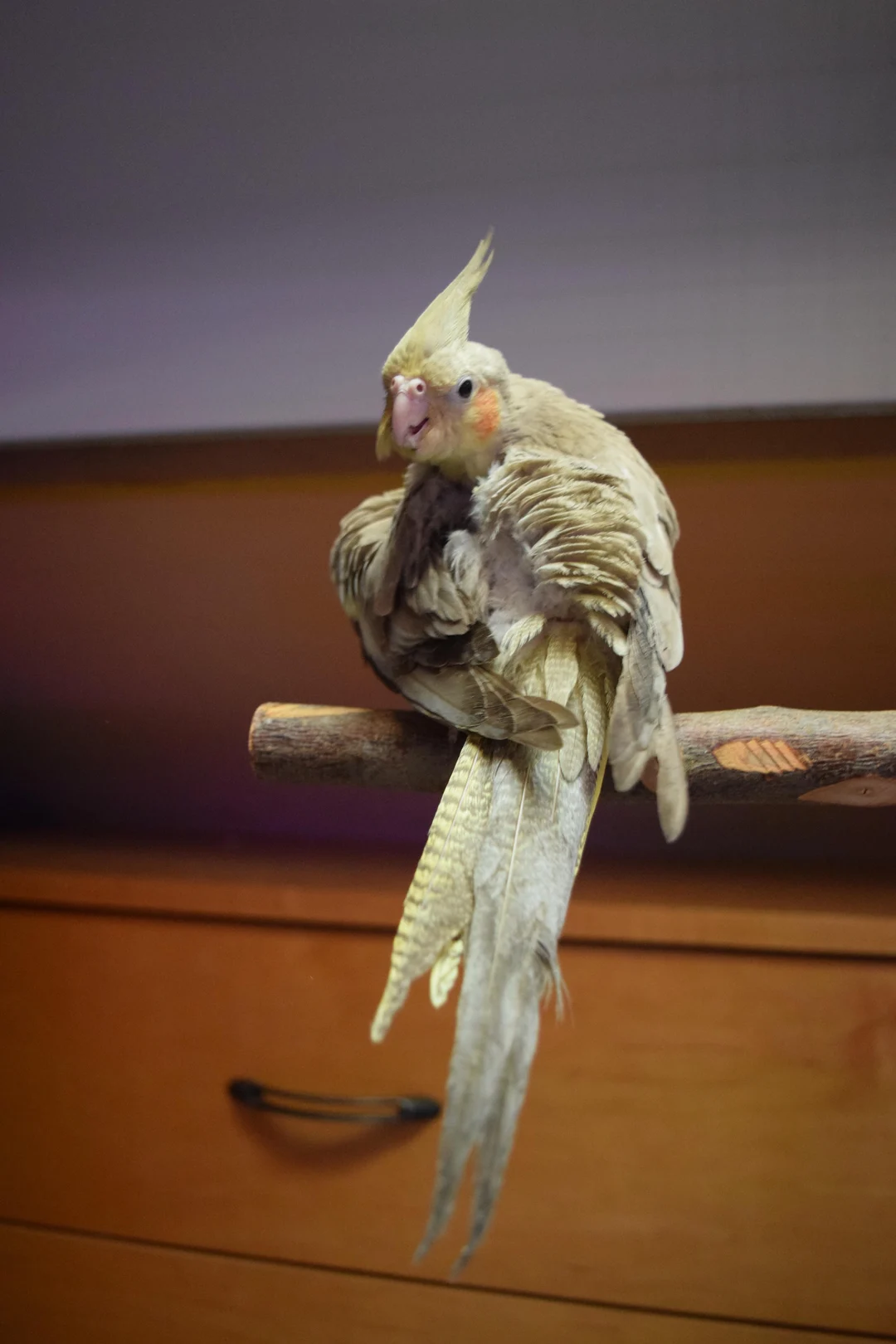 someone got caught | Scrolller