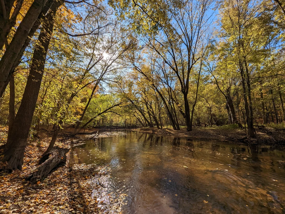 Fall along the Red Cedar, Okemos, MI. [OC] 4080x3072 | Scrolller