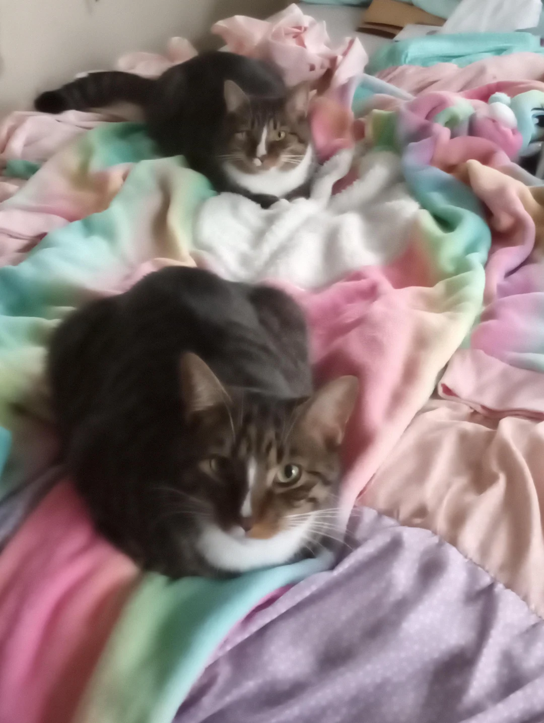 double loaf 😂 | Scrolller