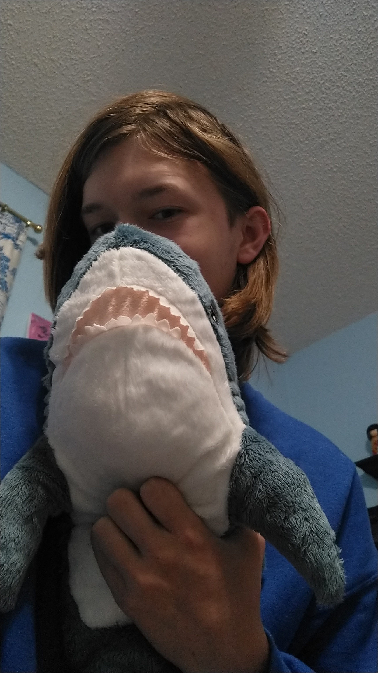 Got my own blahaj | Scrolller