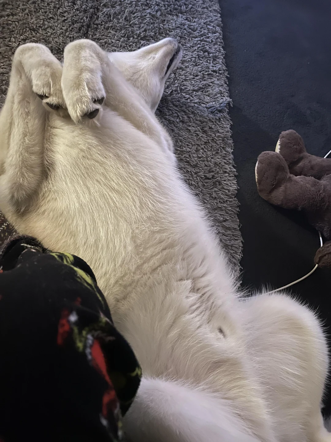 UPSIDE DOWN GHOST | Scrolller