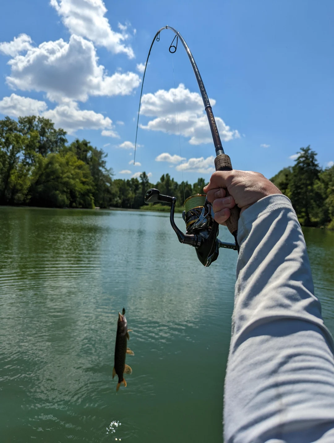 is it a very strong rod ? | Scrolller