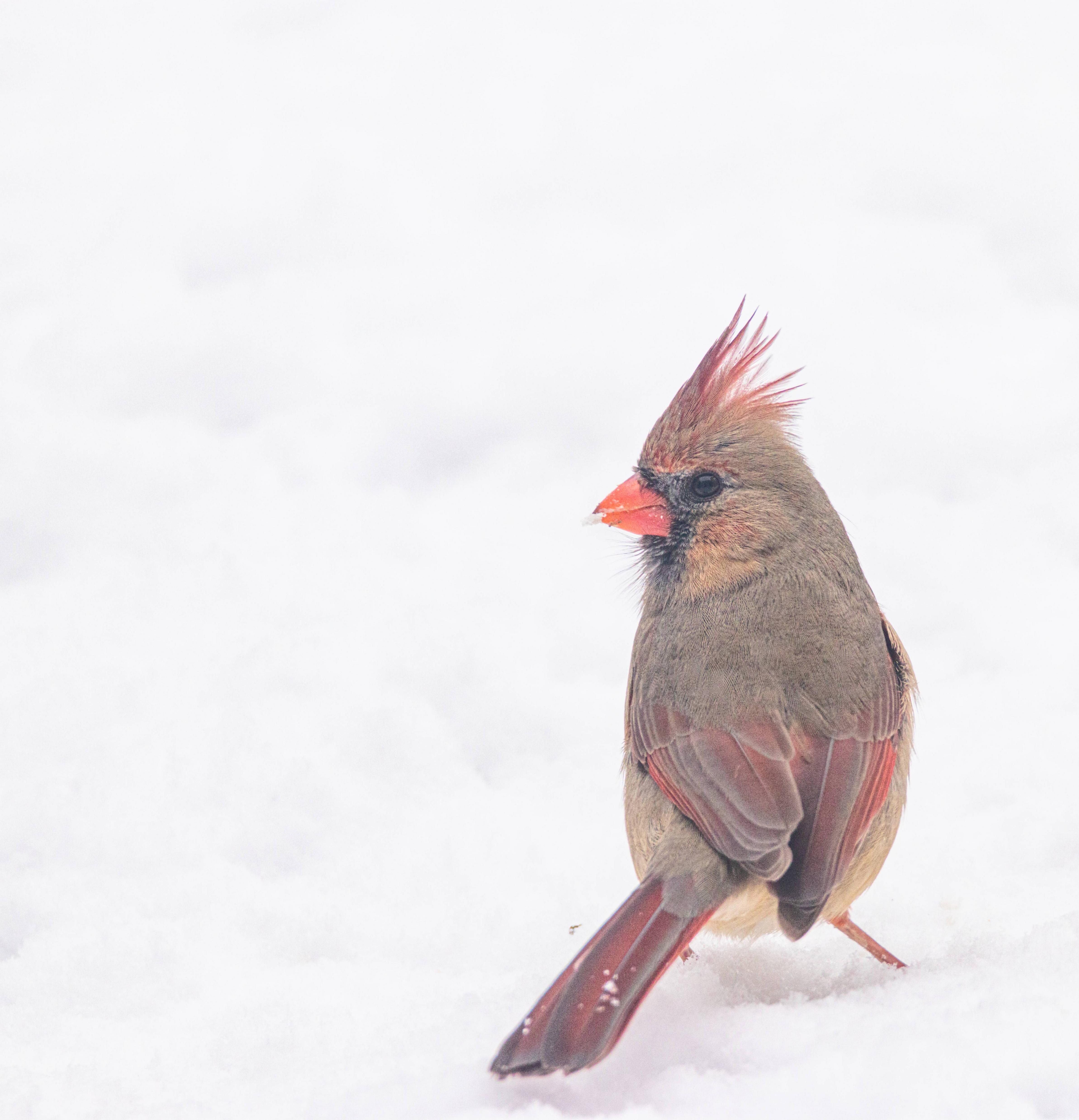 Struck a pose for me | Scrolller