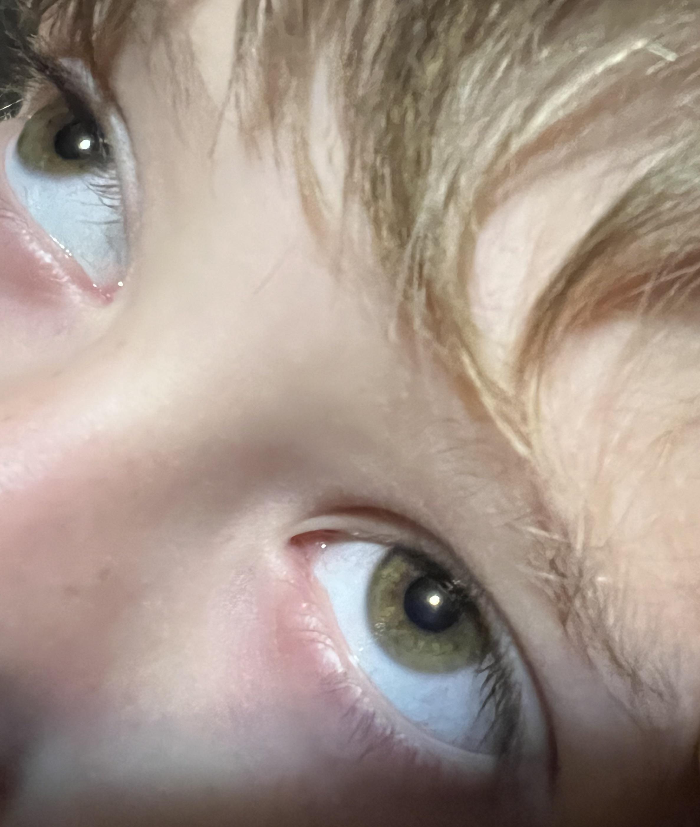 Green? Hazel? | Scrolller