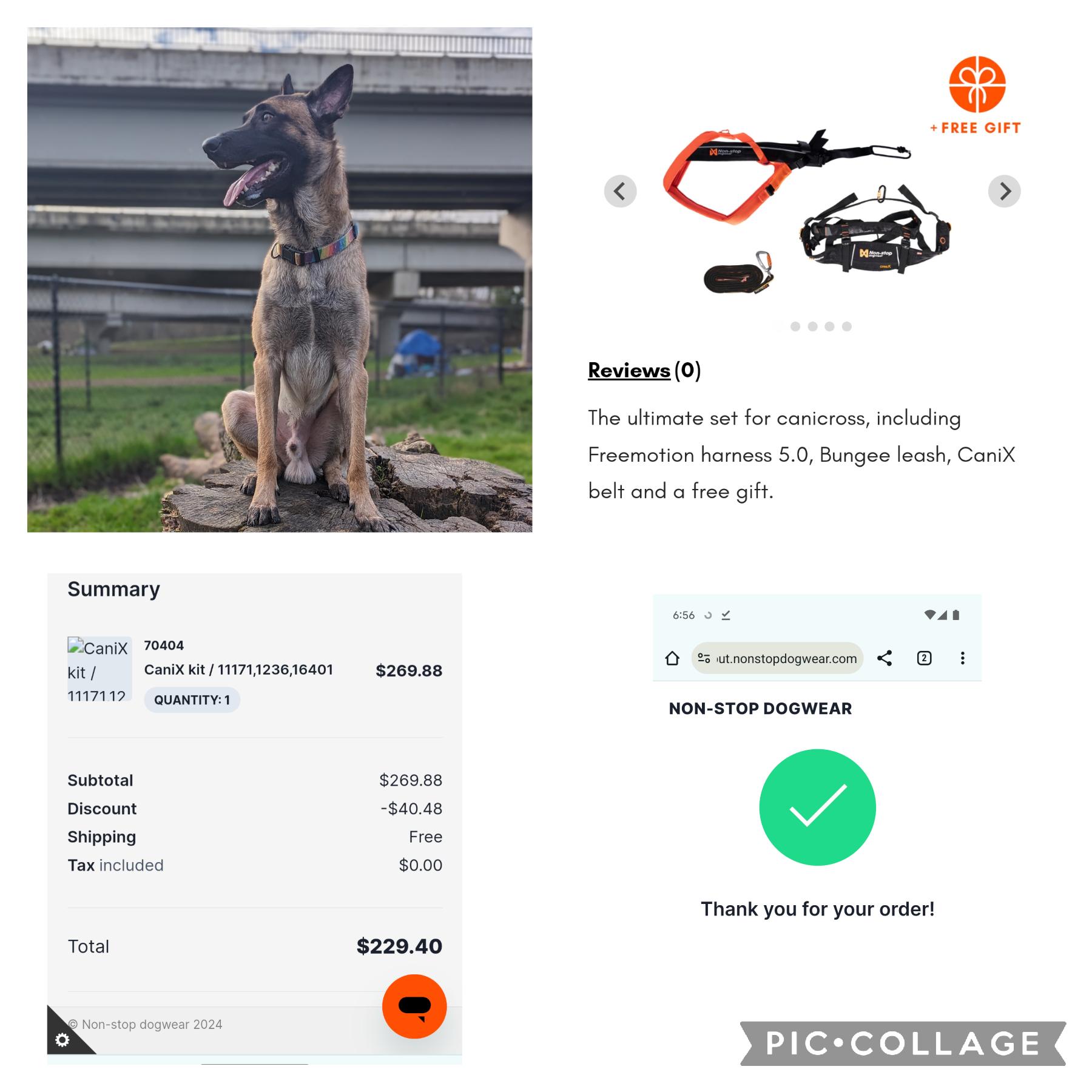 Finally Decided to Upgrade to CaniX harness! Ordered today and can't wait to watch him judge me ...