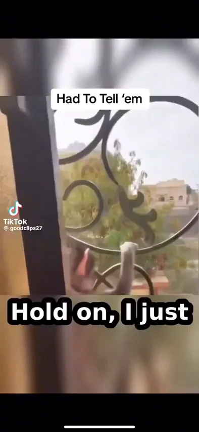 Shit tragic | Scrolller