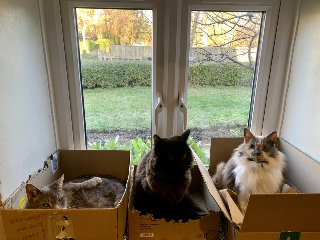 The Traps Are Definitely Working | Scrolller