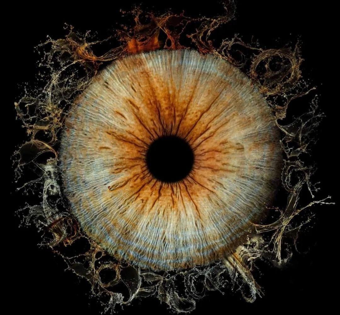 I got my iris scanned | Scrolller