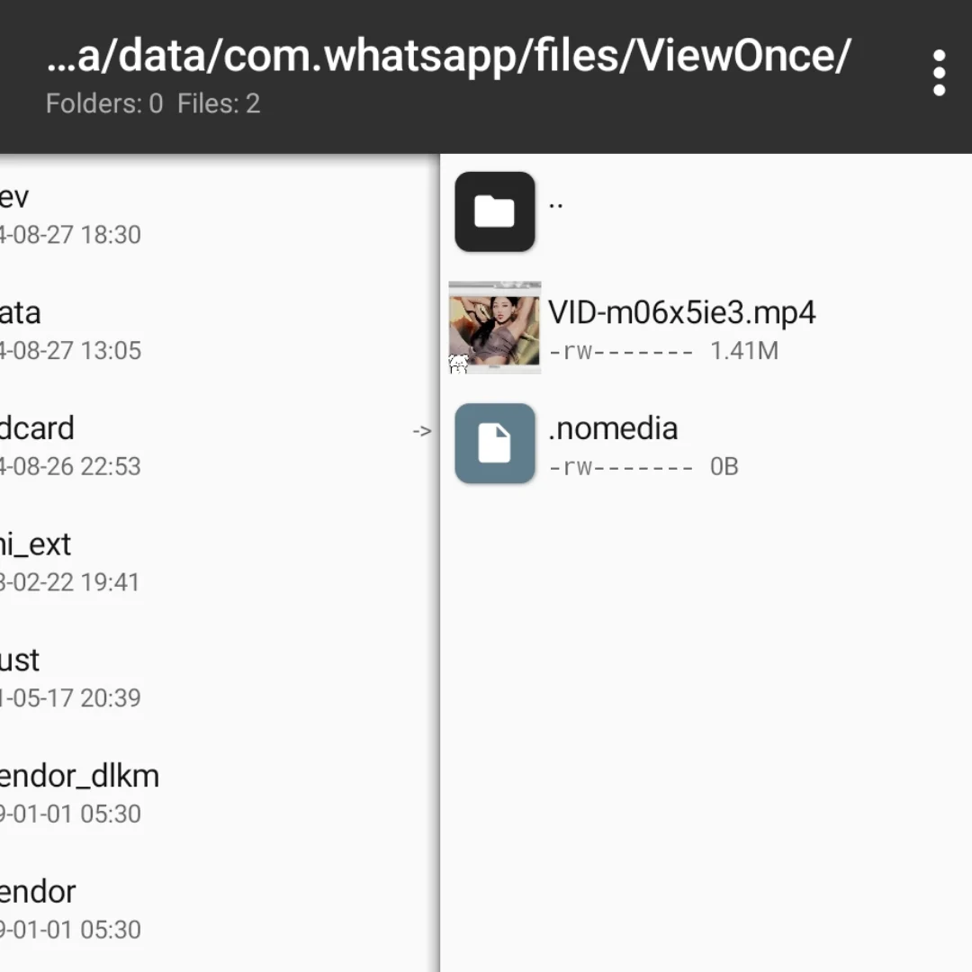 WhatsApp View once photos /video storage location | Scrolller
