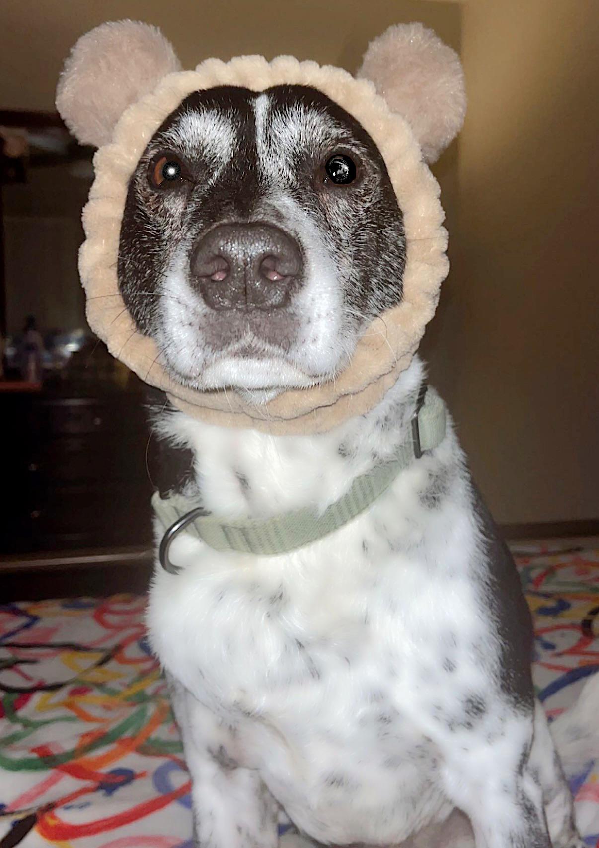 Nothing. He just wants a spa day. | Scrolller