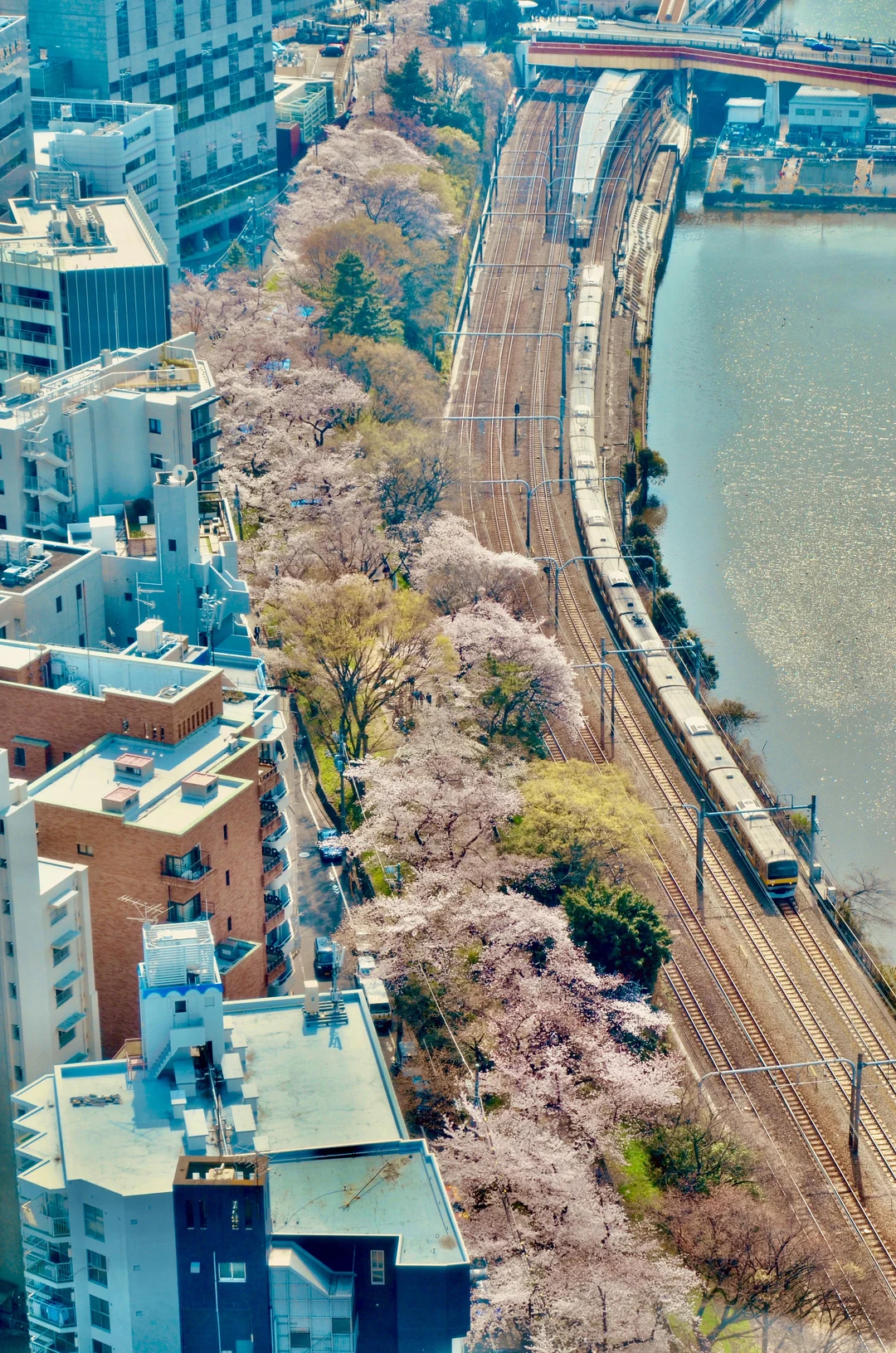 Iidabashi, Tokyo | Scrolller